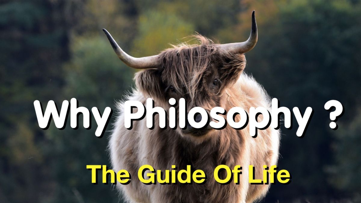 Why Philosophy ? | Always Be Confident